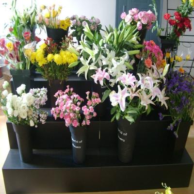 Cina Attrezzatura di esposizione floreale nera del negozio di fiore di punto del banco di mostra di Corflute pp 4 in vendita