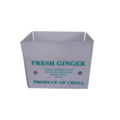 Cina Coroplast su ordinazione inscatola il totalizzatore di plastica ondulato amichevole della posta di 3mm 5mm Eco in vendita