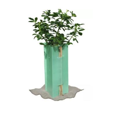 Cina Guardie di Weatherproof Corflute Plant della guardia dell'albero del quadrato 3mm Corflute in vendita