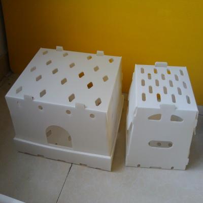 Cina Il volume d'affari pp ha ondulato le scatole di stoccaggio di Corflute della cavità della scatola di plastica in vendita