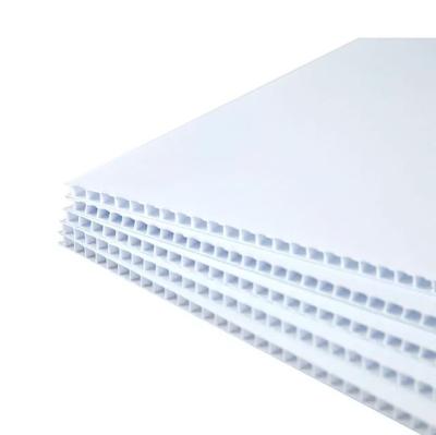 Cina bordo vuoto dello strato 5mm Coreflute del polipropilene di 4mm Coreflute in vendita