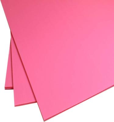 Cina Recycled Lightweight Polypropylene Coroplast Board PP Corrugated Plastic Sheet in vendita