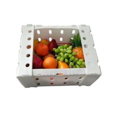 Cina Il polipropilene ha ondulato il contenitore di imballaggio leggero rigido d'imballaggio di verdure di plastica di immagazzinamento nella scatola in vendita