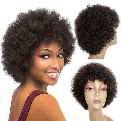 Cina Cuticule di capelli umani indiani crudi allineati taglio da fantoccio parrucche afro ricci GS forniture 250g-450g in vendita
