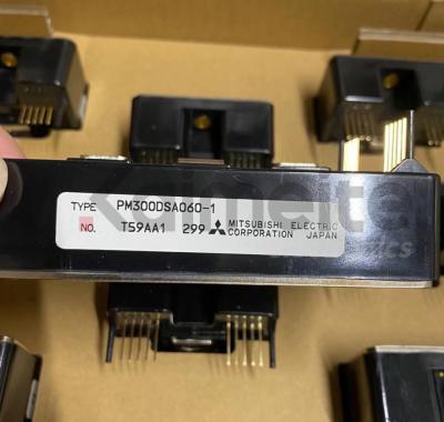Cina PM300DSA060 in vendita