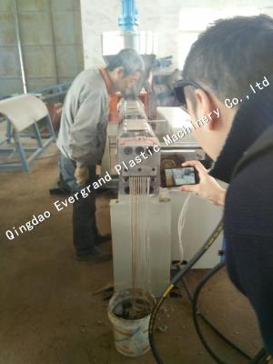 Cina ANIMALE DOMESTICO/granello di plastica dei residui film PE/dei pp che rende a macchina 100kg/h 500kg/h 600 kg/h in vendita