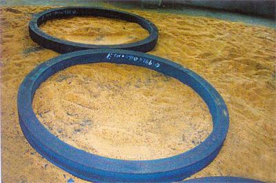 Cina Grande cuscinetto che vuota anello rotolato 316L di forgia in attrezzatura marina in vendita