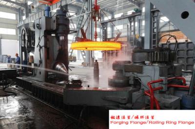 Cina L'anello industriale dell'acciaio laminato ha forgiato le turbine dell'elettricità del vento della flangia in vendita