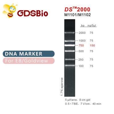 Cina Scala 2000 dell'indicatore del DNA di DS M1101 (50μg) /M1012 (50μg×5) in vendita
