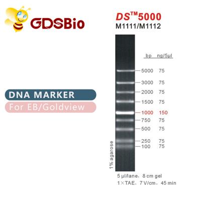 Cina Scala M1111 (50μg) /M1112 (5×50μg) dell'indicatore del DNA di DS 5000 in vendita