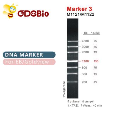 Cina Scala M1121 (50μg) /M1122 (5×50μg) del DNA dell'indicatore 3 in vendita