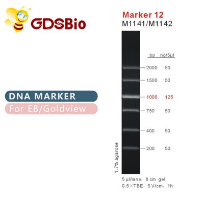 Cina Scala M1141 (50μg) /M1142 (5×50μg) del DNA dell'indicatore 12 in vendita