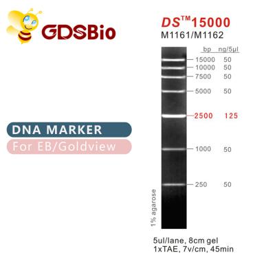 Cina DS15000 scala M1161 (50μg) /M1162 (5×50μg) dell'indicatore del DNA in vendita