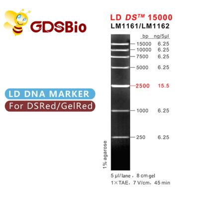 Cina Scala dell'indicatore del DNA di LD DS 15000bp 15kb LM1161 (50 preparazioni) /LM1162 (50 preps×5) in vendita