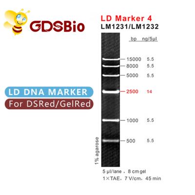 Cina Scala del DNA dell'indicatore 4 di LD LM1231 (50 preparazioni) /LM1232 (50 preps×5) in vendita