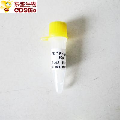 中国 PCR QPCR FS TaqのDNAポリメラーゼP1071 P1072 P1073 P1074 販売のため