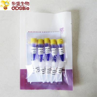 中国 DNAのRNAの核酸PCRの検出P2022のためのPfu PCRの試薬の組合せ1ml×5 販売のため