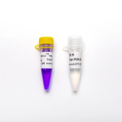 中国 Optimus Taqのホット スタートのポリメラーゼ5ml PCRのマスターの組合せP2042 販売のため