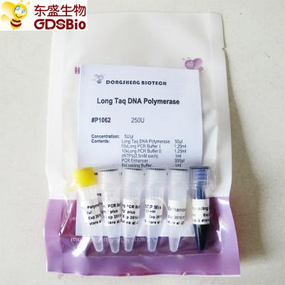 中国 長いTaqのDNAポリメラーゼ#P1062 250U 販売のため
