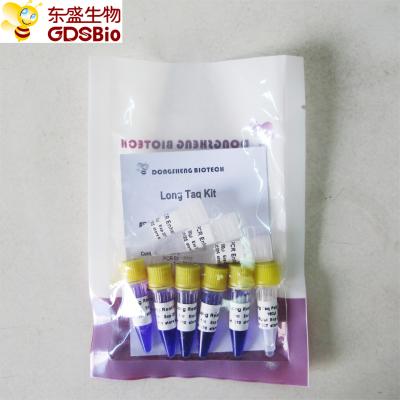 中国 Taqの長いキットPCRのマスターの組合せ#P3062 5ml 販売のため
