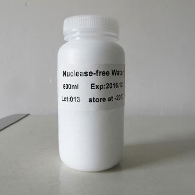 中国 分子生物学の等級水ヌクレアーゼ自由なP9023 500ml 販売のため