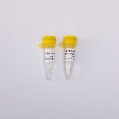 Cina reazioni matrici GDSBio della miscela 40 di PCR della multisala di 1ml 2X NGS in vendita