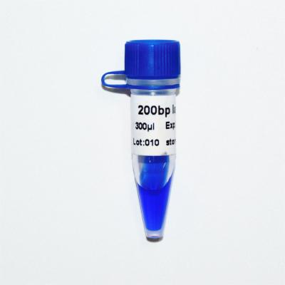 中国 古典的なDNAのマーカーの電気泳動500bpの梯子GDSBio 販売のため