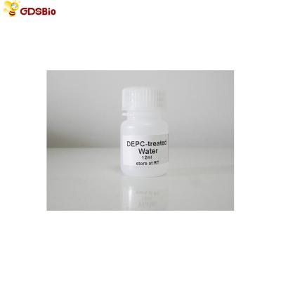 Cina 30ml DEPC ha trattato l'acqua per la PCR R2041 incolore in vendita