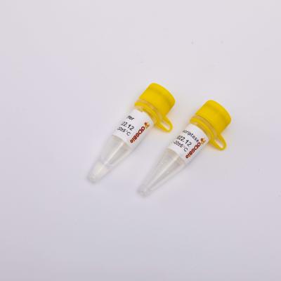 Cina aspetto incolore di PCR R3002 della trascrittasi inversa dell'oro 10000U in vendita