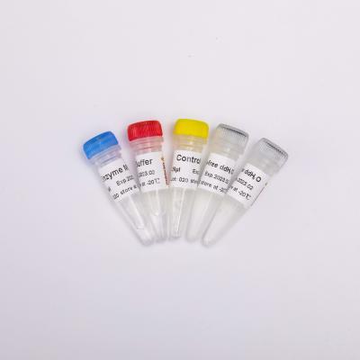Cina La miscela di PCR di R1031 GDSBio RT per QPCR ha premescolato i reagenti di PCR della trascrittasi inversa in vendita