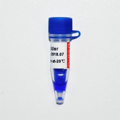 中国 50bp 50ug DNAのマーカーの電気泳動の高い純度の試薬 販売のため