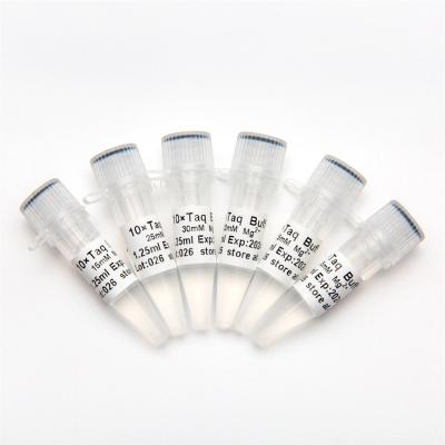 Cina Tampone PCR 10× pronto per l'uso da 1,25 ml×6 con set Mg2+ P5011b in vendita