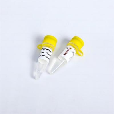 中国 Fast Restriction Endonuclease SmaI 100 Bags/Day 販売のため