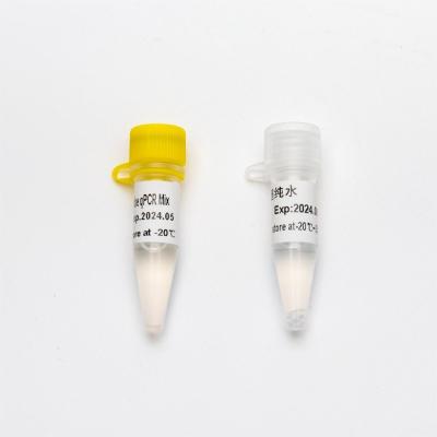 中国 Fast Restriction Endonuclease BcuI 販売のため