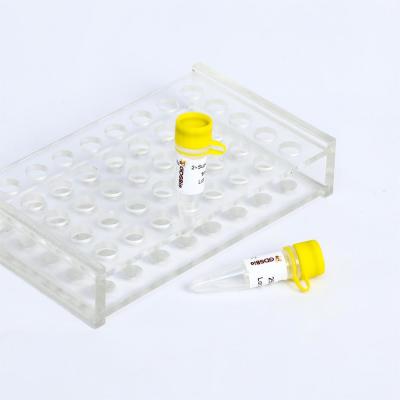 中国 Fast Restriction Endonuclease Esp3I 販売のため