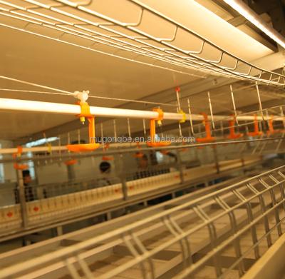 China Manufacturer Wholesale Durable Automatic System Battery Metal Broiler Chicken Cage for Large Scale Poultry for sale