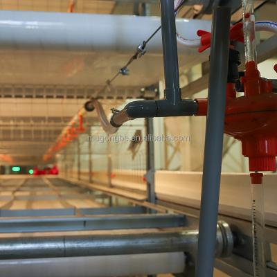 China Broiler Farming Equipment Poultry Feeding Line System Chicken Cage With Automatic Feeders and Drinkers for sale