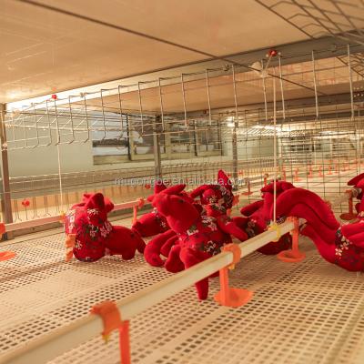 China Factory Complete Automatic Broiler and Layer 3 Tiers 4 Tiers 5 Tiers H Type Battery Poultry Chicken Cage for sale