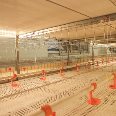 China Factory Direct China High-Efficiency Automatic System Battery Broiler Chicken Cage With Conveyor Belt for Broiler Production for sale