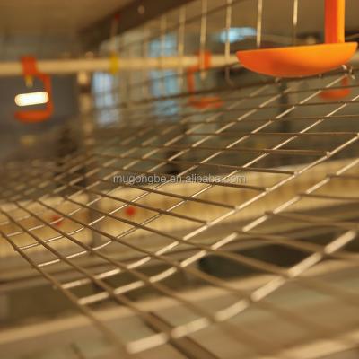 China Factory Price Automatic System Battery Broiler 10000 Layer Chickens Farm Bird Cage for Sale for sale