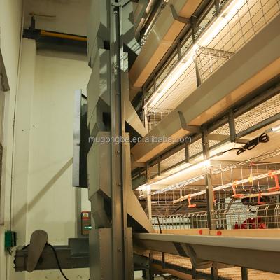 China Factory Commercial Layer Broiler Farming Chicken House for Sale for sale