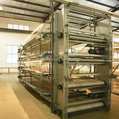 China Complete Automatic Pullets Rearing Chicken Brooding Cage for Poultry Thousand Chickens for sale