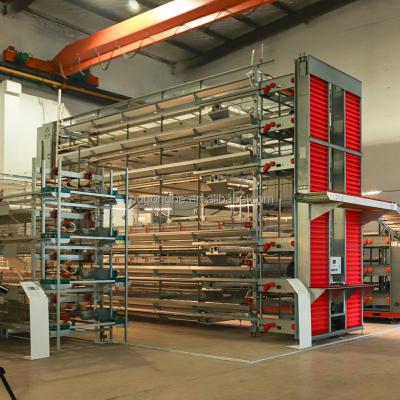 China Galvanized Steel Poultry Shed Equipment H Type 2000 Birds Egg Layer Poultry Farm Chicken for Farm for sale