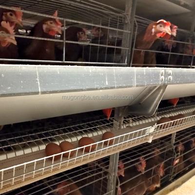 China Poultry Shed Chicken Farming Modern Design Automatic Environmental Control System H Type Chicken Cage for sale