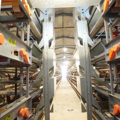 China Automation Egg Layer Farming Chicken Cage for Poultry Farm Chicken House for sale