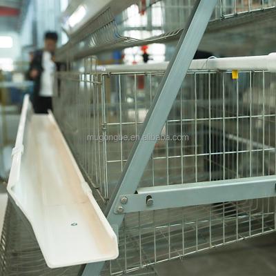 China Factory Supply Hot Selling Products Automatic Feeding Poultry Farming System a Type Chicken Cage for sale