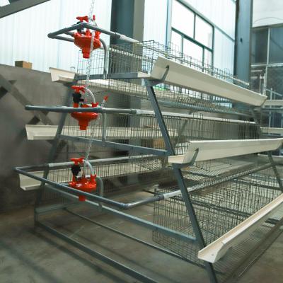 China Automatic A-Type Battery Cage Equipment for Laying Chickens & Eggs Henhouse for Poultry Farming for sale