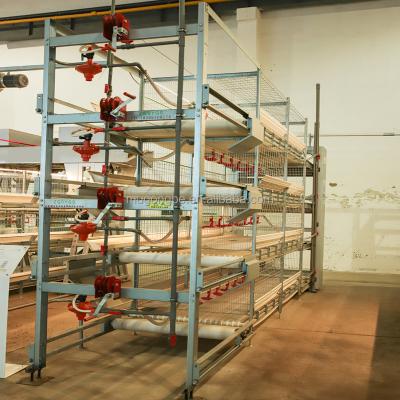 China H Type 3/4/5 Tiers Battery Layer Duck Cage Breeder Duck Cages for Ducks Farm for sale