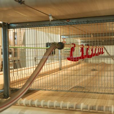 China Economic Layer Duck Cage Battery Laying Meat Duck Breeding Cages for Egg Layer Ducks Farm for sale