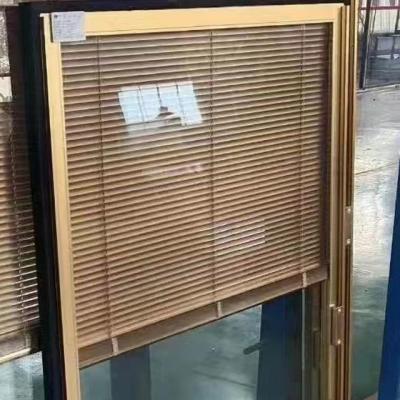 中国 供給 競争力 窓やドアに組み込まれたシャッター用の隔離ガラスシャッター 販売のため